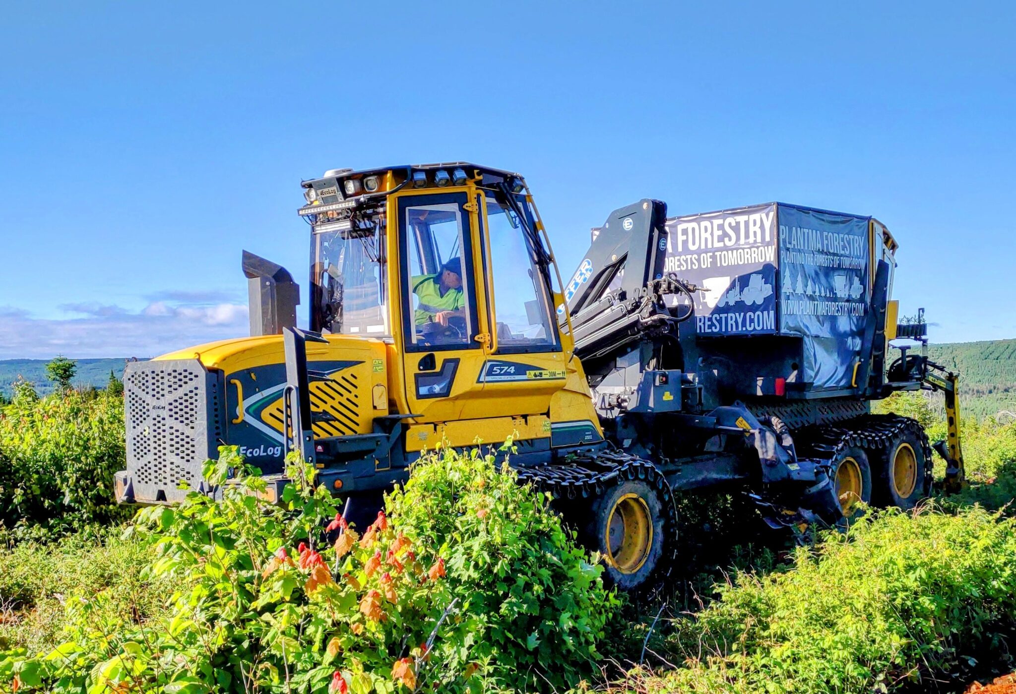 Photo Gallery – Plantma Forestry